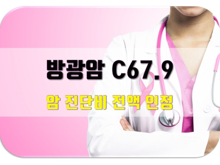 방광암 방광의 악성신생물 암진단비 C679 제자리암 진단비 지급 이유는 네이버 블로그