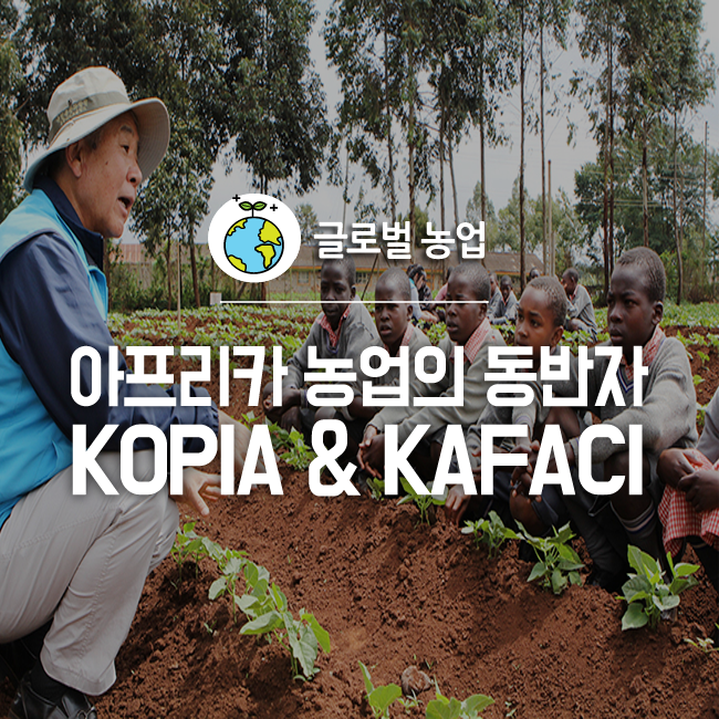아프리카 농업의 든든한 동반자 :: 농촌진흥청 코피아(KOPIA) & 카파시(KAFACI) : 네이버 블로그