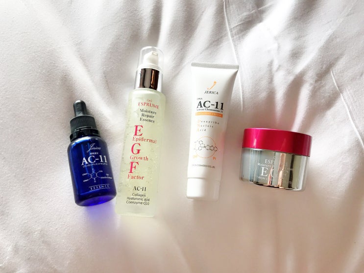 :: 제리카 AC-11 / 에스프룸 EGF :: 핫딜꿀딜 재오픈! : 네이버 블로그