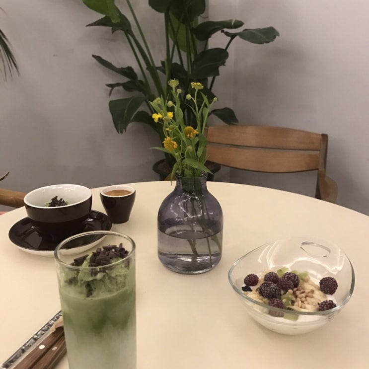 창원가로수길 카페손손 플라워카페양장점이 한자리에 가로수길카페 창원카페 추천 네이버 블로그
