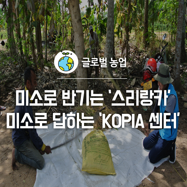 미소로 반기는 '스리랑카', 미소로 보답하는 'KOPIA 스리랑카센터' : 네이버 블로그