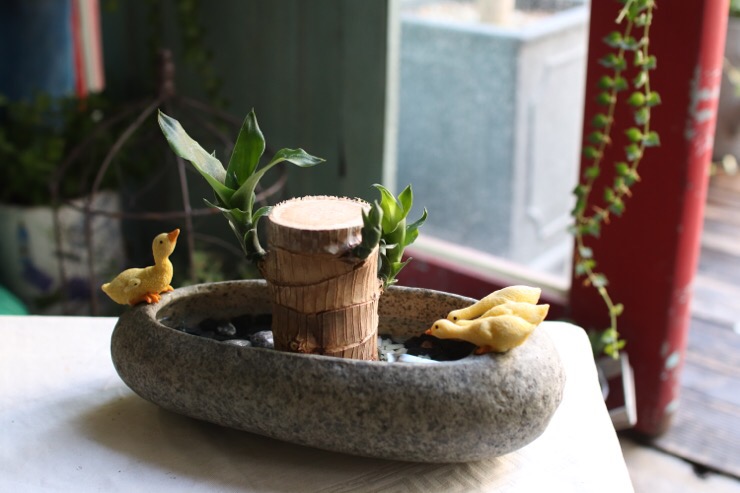 [꽃이피다 Bloom] 소장가치 있는 특이한 애니멀화분 #청주 예쁜꽃집 : 네이버 블로그