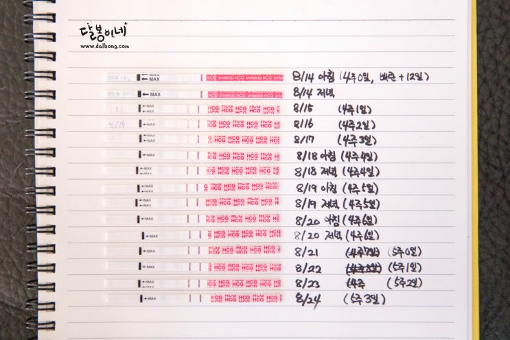 임신5주차 임테기 진해진 두줄 Hcg호르몬 수치농도피검사초음파원포 임신테스트기 네이버 블로그