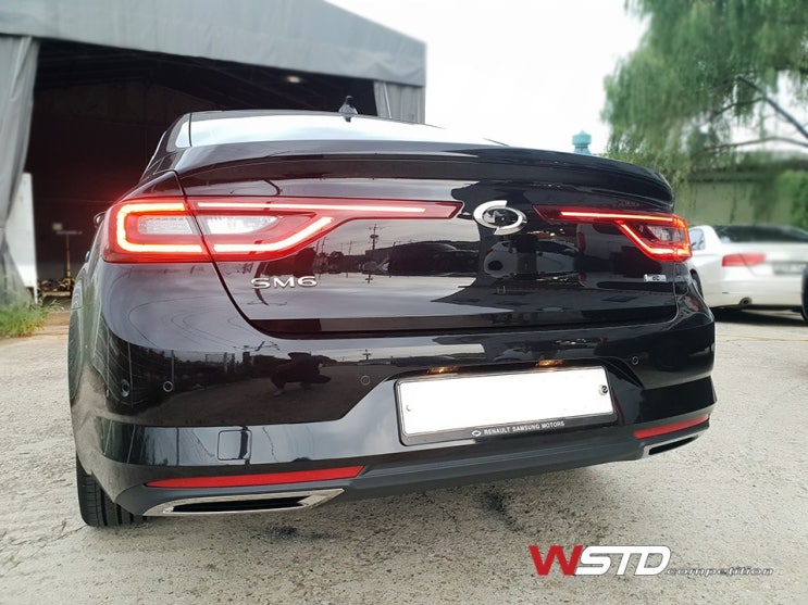 SM6 트윈머플러 터보용 테코 피니셔 장착 [WSTD] : 네이버 블로그