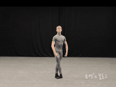 [취미 발레] 앙트르샤(Entrechat) : 네이버 블로그