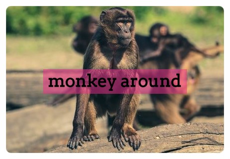 유용한영어구문표현,monkey around,장난을치다 : 네이버 블로그