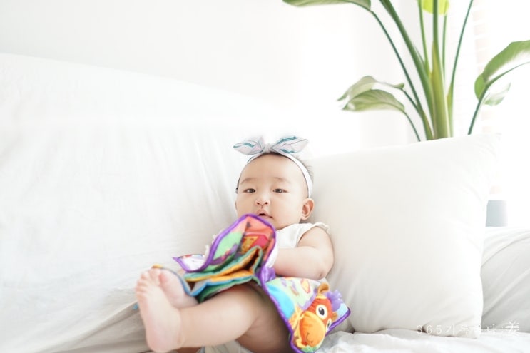 아기 멸균 구강티슈 사용법 아기 첫니 잇몸관리 이렇게해요 네이버 블로그