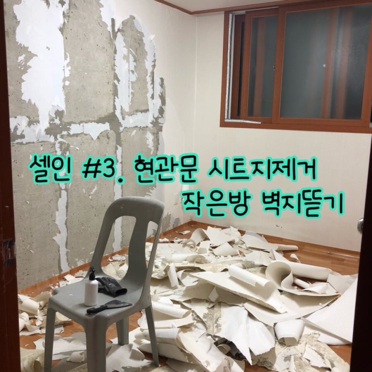 셀프인테리어 3 현관문 시트지제거 작은방 벽지뜯기 빨래건조대 필름제거 24평 신혼집 셀프인테리어셀프리모델링
