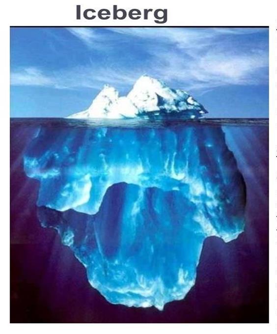 BICS+CALP _ 2015년 개정 교과과정 : 네이버 블로그