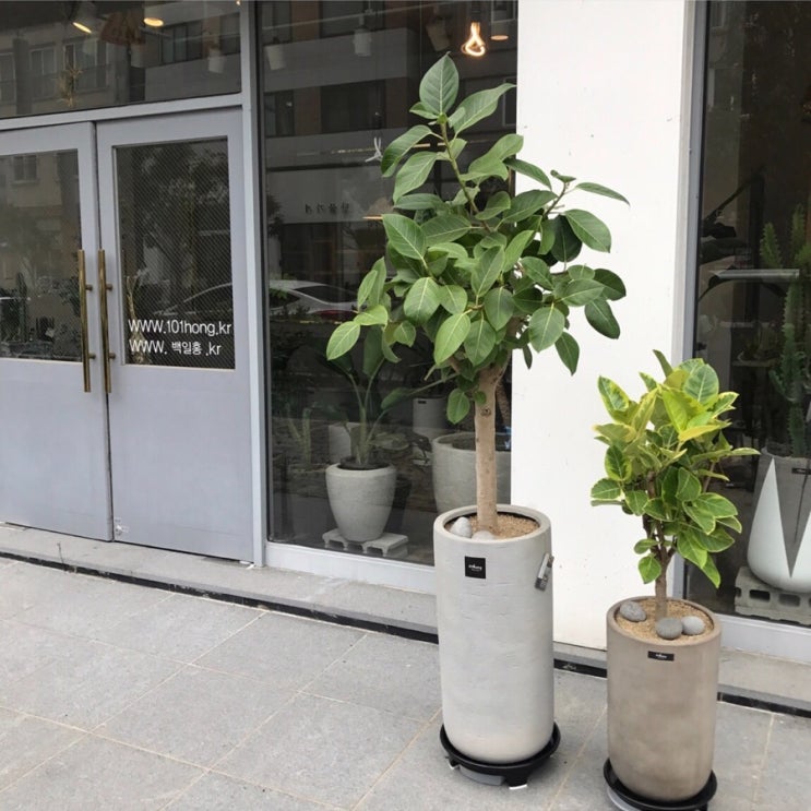 남악꽃집 남악예쁜꽃집 목포꽃집무안꽃집남악꽃배달목포꽃배달남악꽃집플라워레슨 네이버 블로그