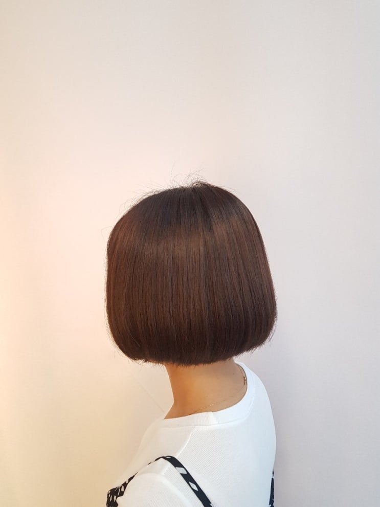 카이쌤의 웰라 일루미나 톤다운 애쉬브라운컬러누드 정왕동미용실 리안헤어 오렌지시화점 네이버 블로그
