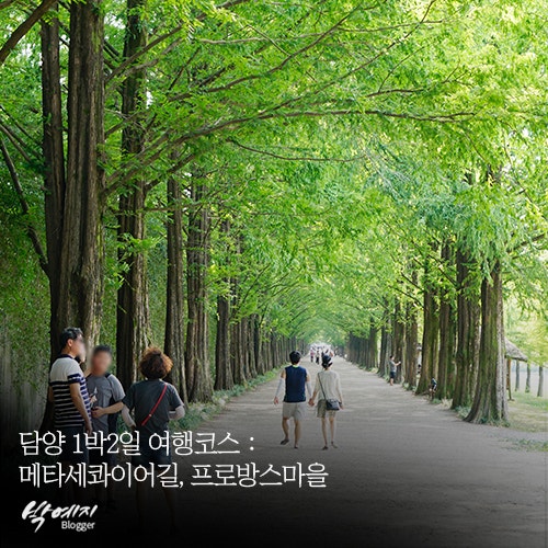 담양 1박2일 여행코스 메타세콰이어길 메타프로방스 후기 네이버 블로그