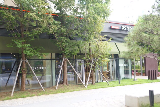 송파 미용실 준오헤어 송지오 쌤 한테 단발머리 펌 성공적 네이버 블로그