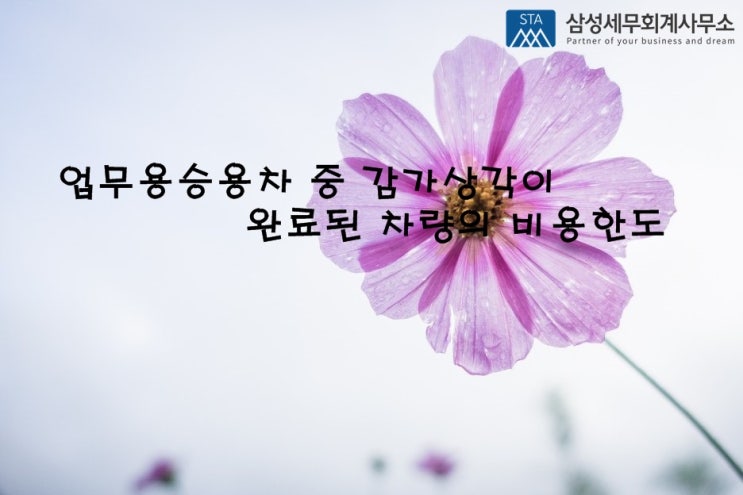 업무용승용차 중 감가상각이 완료된 차량의 비용 한도 네이버 블로그