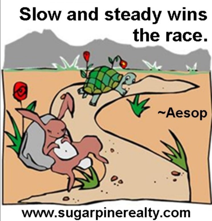 오늘의 영어표현(756) slow and steady wins the race : 네이버 블로그