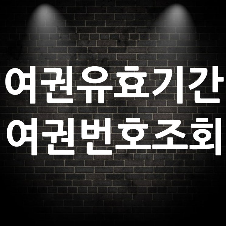 여권 유효기간 만료일 여권번호 조회 네이버 블로그