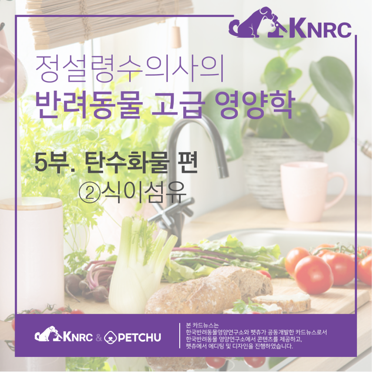 식이섬유도 많이 먹으면 문제가 된다고? [KNRC 고급영양학 5.2 탄수화물-식이섬유] : 네이버 블로그