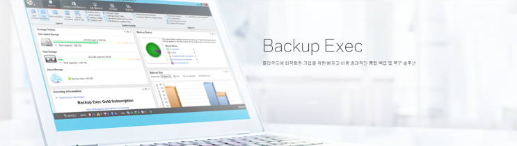 백업 이그젝(Backup Exec)을 업그레이드 해야 하는 이유 : 네이버 블로그