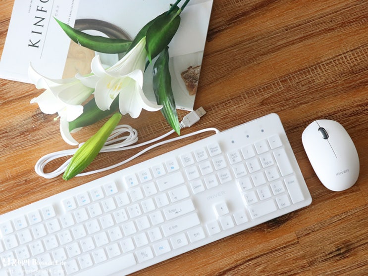 무소음 무선 마우스 키보드 세트 아이리버 EQwear-V10(ⓦIR-K2000W) : 네이버 블로그