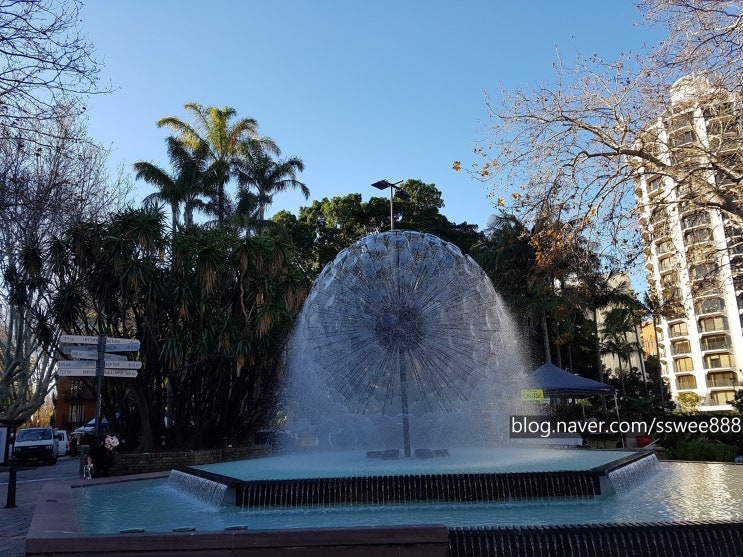 시드니여행,시드니킹스크로스,Kings Cross,시드니엘알라메인분수,민들레분수 : 네이버 블로그