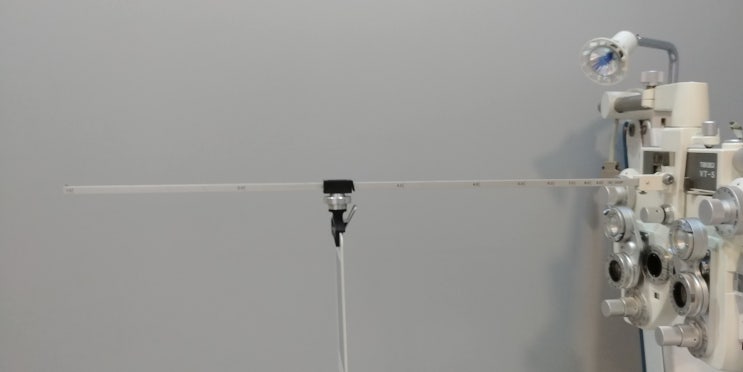 prince rule 방법 /정확하고 편안한 안경 처방 : 네이버 블로그