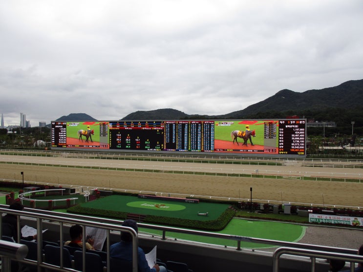 과천 경마공원렛츠런파크 서울포니랜드주차팁마이카드 앱 후기많다 많아 네이버 블로그
