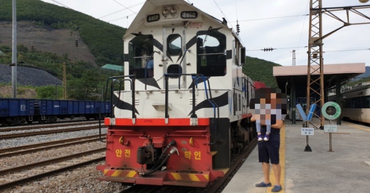 V트레인(V-train) 백두대간협곡열차 타고 분천에서 철암까지 잊지못할 추억의 기차여행 :) / 가격, 분천역 주차장 정보 ...