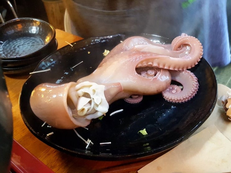 수성구 문어 맛집 수성못 술집 지산동 맛집 용학로 맛집 가이센야 준 네이버 블로그