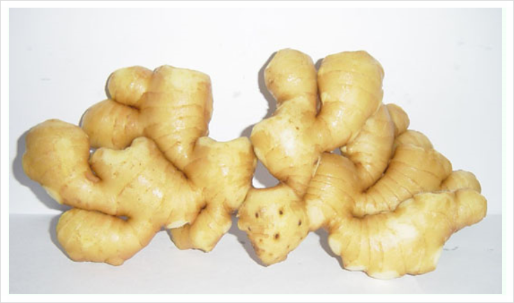 생쪽매듭 : 네이버 블로그