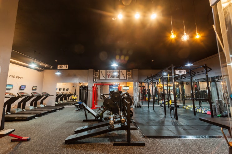 운동은여기로 드루와 Y.GYM : 네이버 블로그