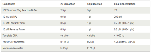 DNA cloning2-target gene PCR : 네이버 블로그