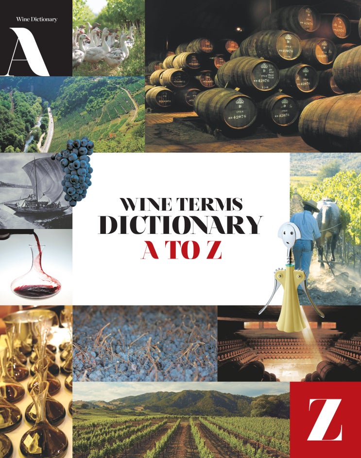 [Wine Dictionary] WINE TERMS DICTIONARY A TO Z / 와인용어모음 사전 : 네이버 블로그