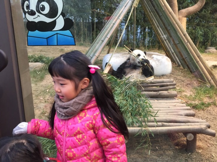 에버랜드 판다월드 겨울엔 대기 없음 네이버 블로그