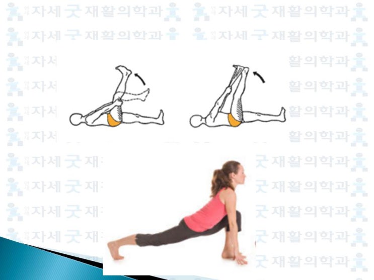 허리 디스크요통 홈트레이닝 종각 정형외과 발표 자료 네이버 블로그