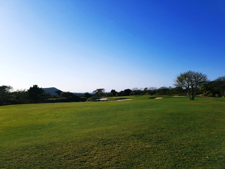 동부회원권 동계 워크샵/제주도/라온GC/레이크힐스제주CC/방어축제 : 네이버 블로그
