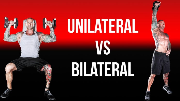 외측운동(unilateral movement)과 양측운동(bilateral movement) 그리고 양측운동손실 ...