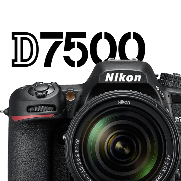 니콘 DSLR 카메라 D7500, 니콘 D5600에서 업그레이드했습니다. : 네이버 블로그