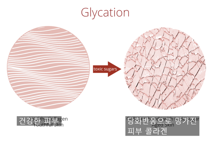 당화반응(Glycation)과 피부노화 : 네이버 블로그