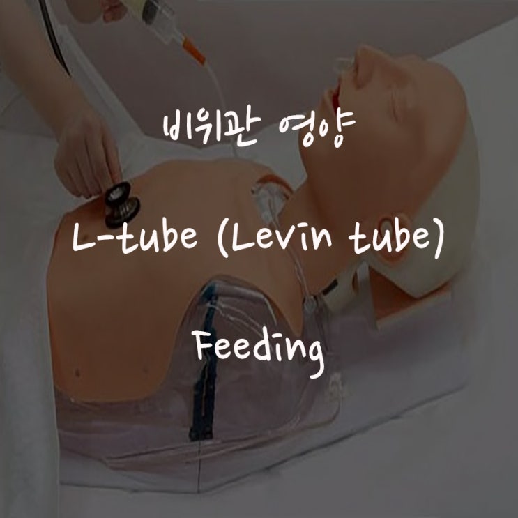 L-tube Feeding(levin tube) 비위관 삽입(경관영양, 경장영양) : 네이버 블로그