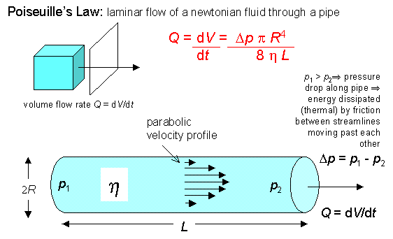 [인체생리학] 혈류의 변화, Poiseuille의 법칙 : 네이버 블로그