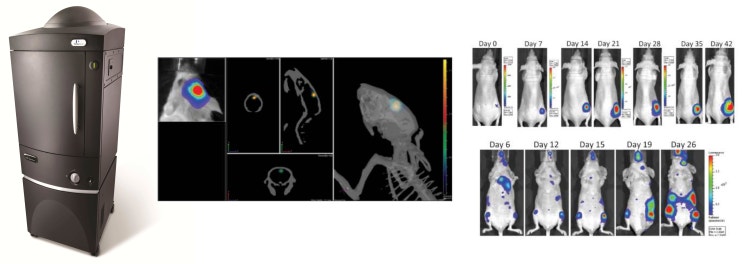 [Revvity]-IVIS Spectrum / 전임상 단층 촬영 광학 이미징 / In Vivo Imaging System-[엔바이오랩] : 네이버 블로그