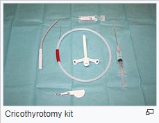 cricothyroidotomy : 네이버 블로그
