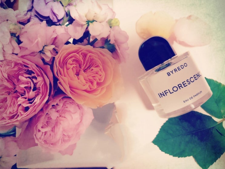 Byredo Inflorescence/바이레도 인플로레센스/꽃다발향수/프리지아향/플로럴향수 : 네이버 블로그