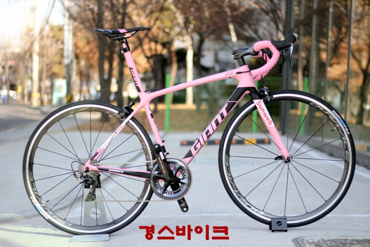 이탈리아는 벌써 핑크로 물들고 있습니다 지로 디 이탈리아 자이언트 Tcr 말리아 로자 입니다 자이언트 자전거는 경스바이크에서