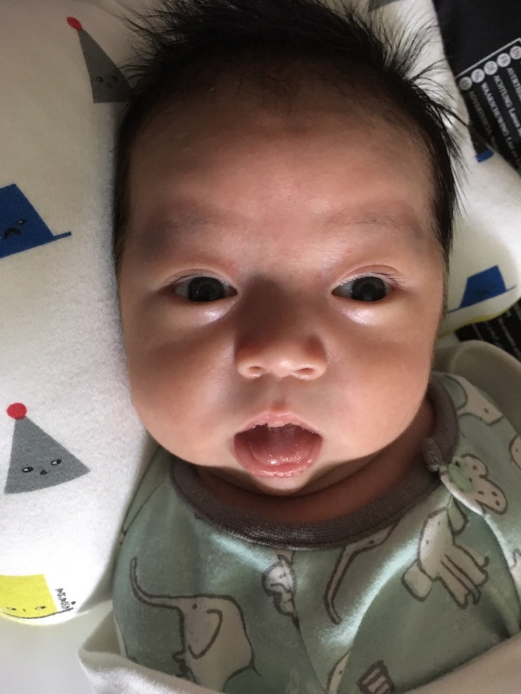 신생아 녹변 녹색변 냄새 유산균없이 분유로 해결했어요 네이버 블로그