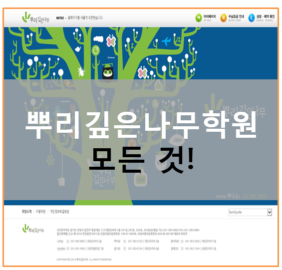 뿌리 깊은 나무 학원은 평촌의 대표적인 입시 명문 학원입니다 네이버 블로그