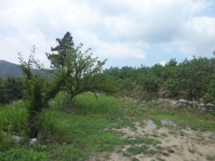 경상북도 경산시 여천동 99-1 토지 를 소개해 드립니다. : 네이버 블로그