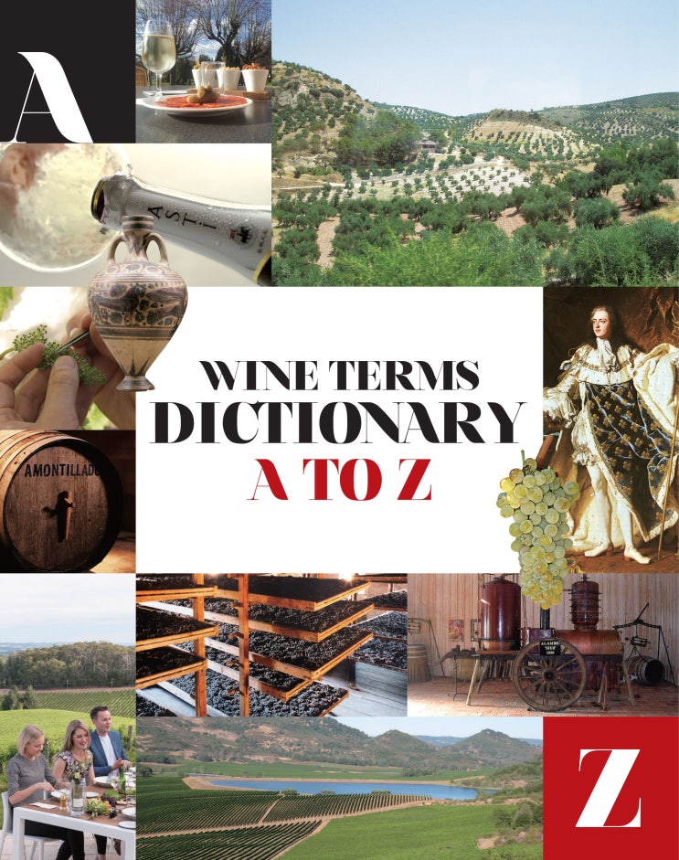 [Wine Dictionary] WINE TERMS DICTIONARY A TO Z - "C"/ 와인 용어 사전 3 : 네이버 블로그