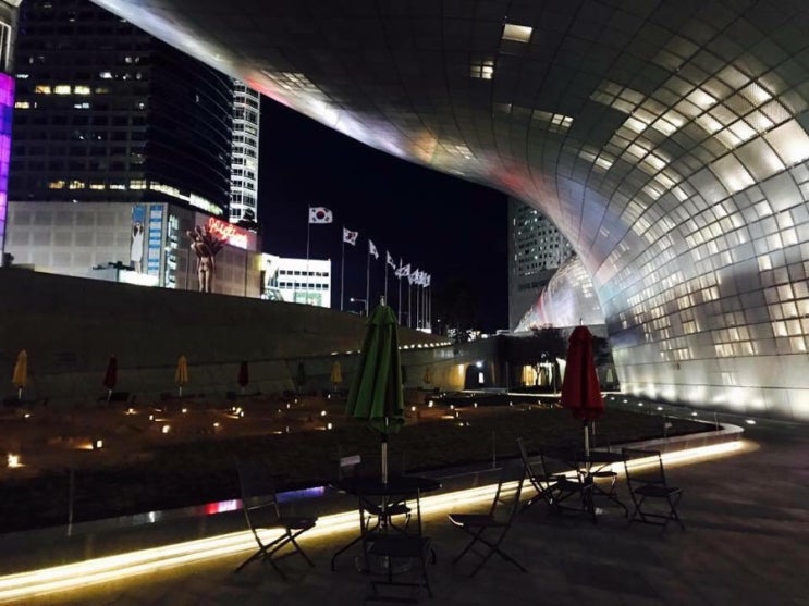 동대문디자인플라자 DDP LED 장미 조명 데이트 취향저격 : 네이버 블로그