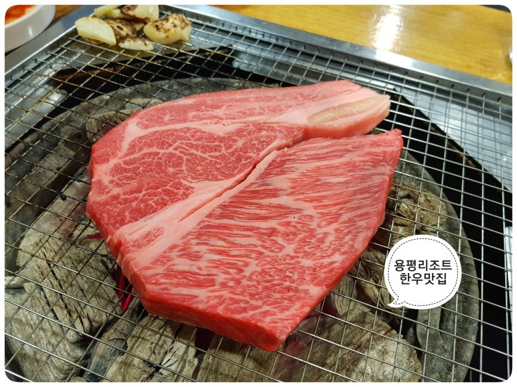 용평리조트 한우 용평한우맛집 모두랑용평셀프한우타운 정육식당 스타일로 가성비 좋다 네이버 블로그